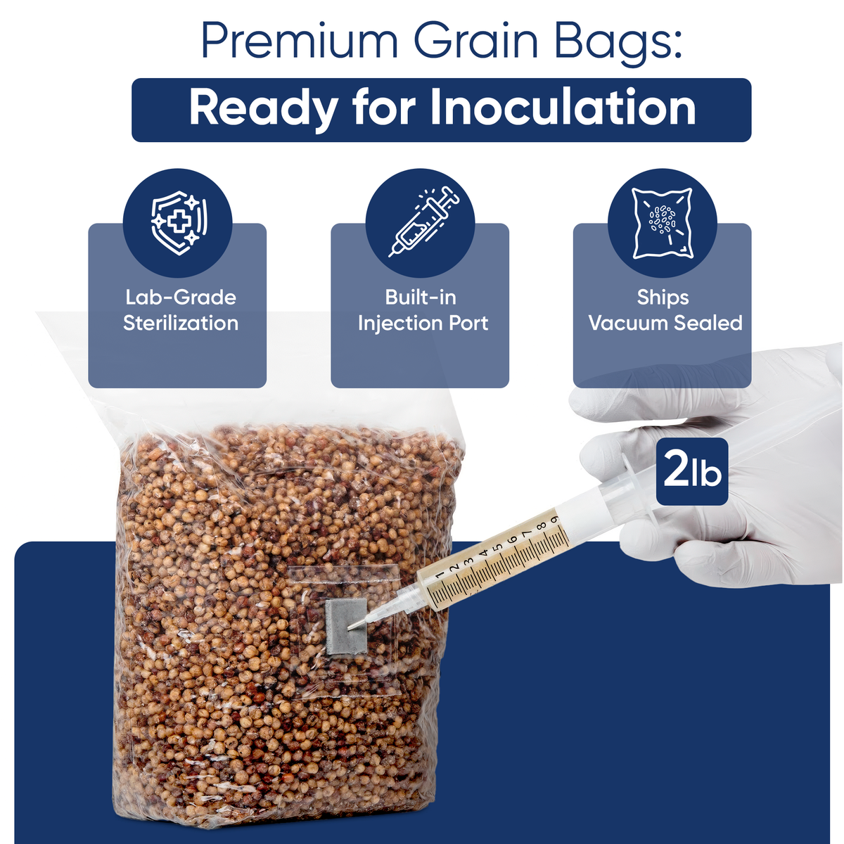 2lb Grain Bags – Surfin' Spores