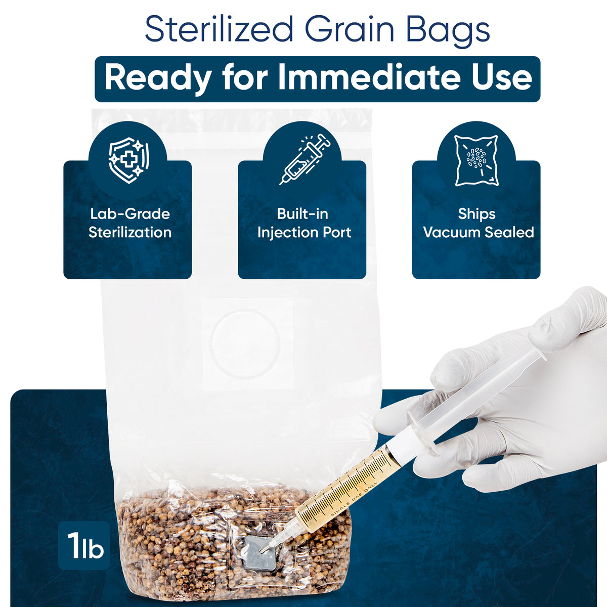 1lb Grain Bags – Surfin' Spores